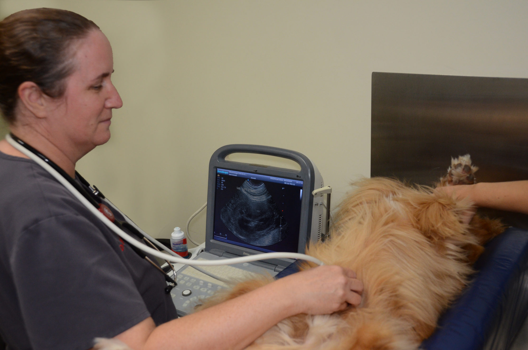 About - Webb VPC Mobile Imaging